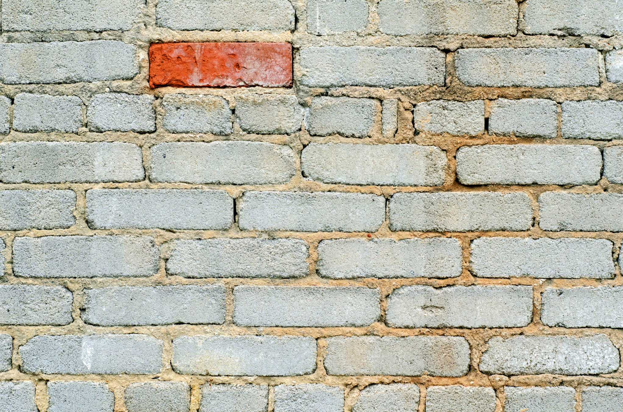 Signs You Should Not Use a Custom Post Type - Alex Standiford