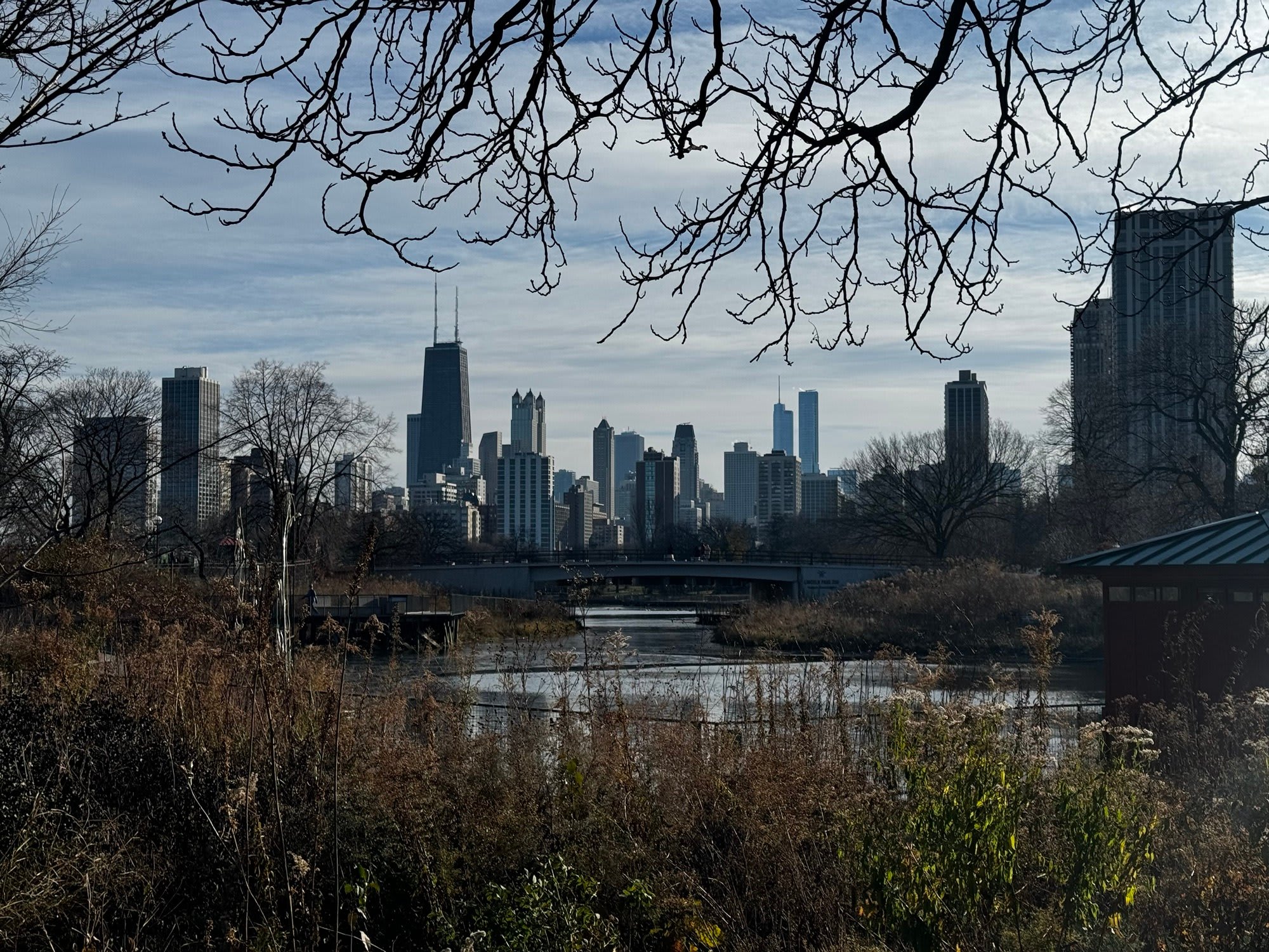 Chicago In Winter - Alex Standiford