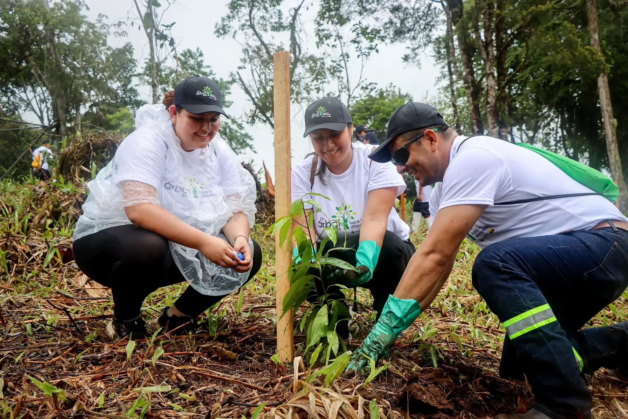 Over 6,300 Trees Planted with Pluspetrol's "One More Tree Makes a ...
