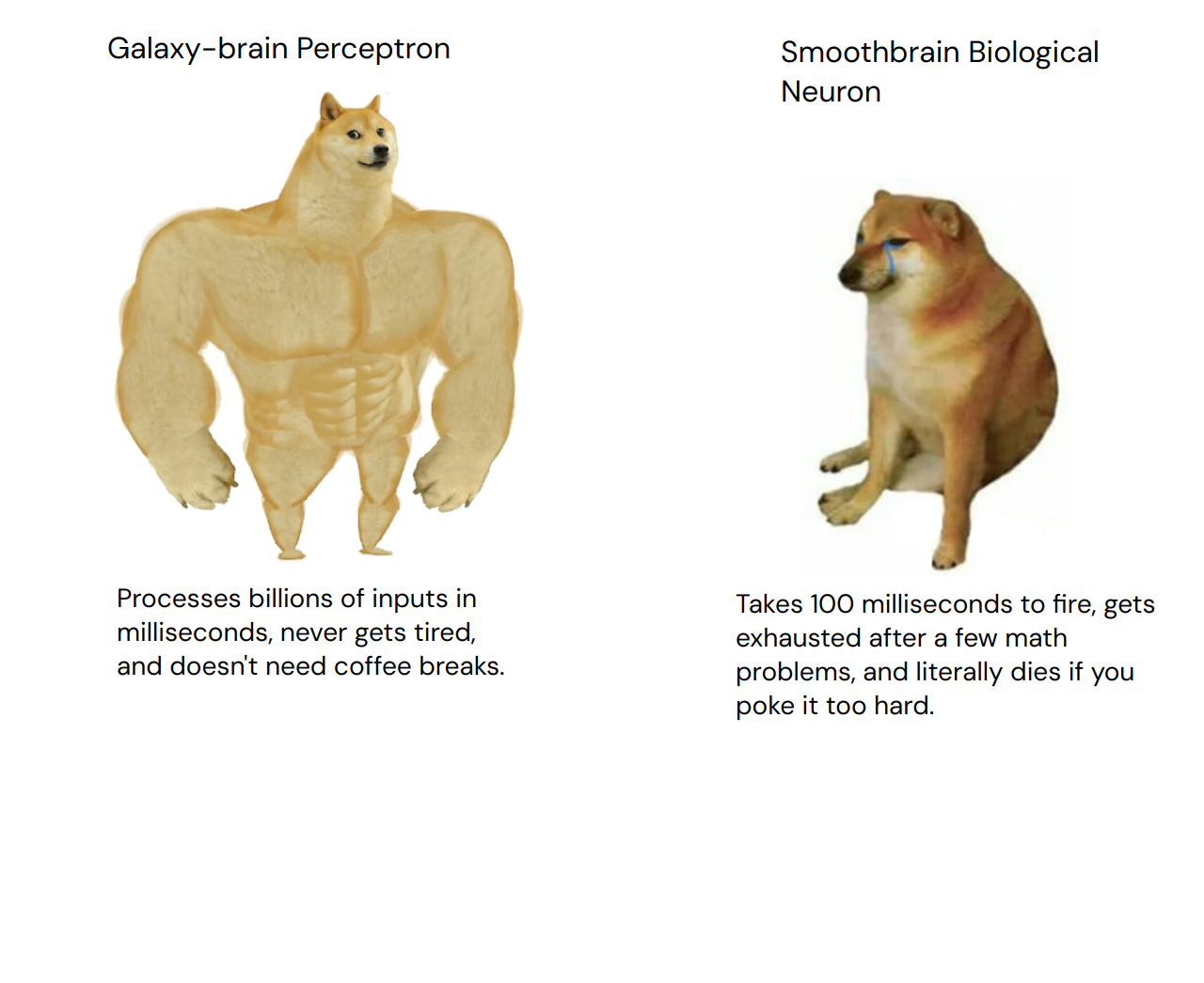 glif - Doge vs Cheems Meme Generator by rando