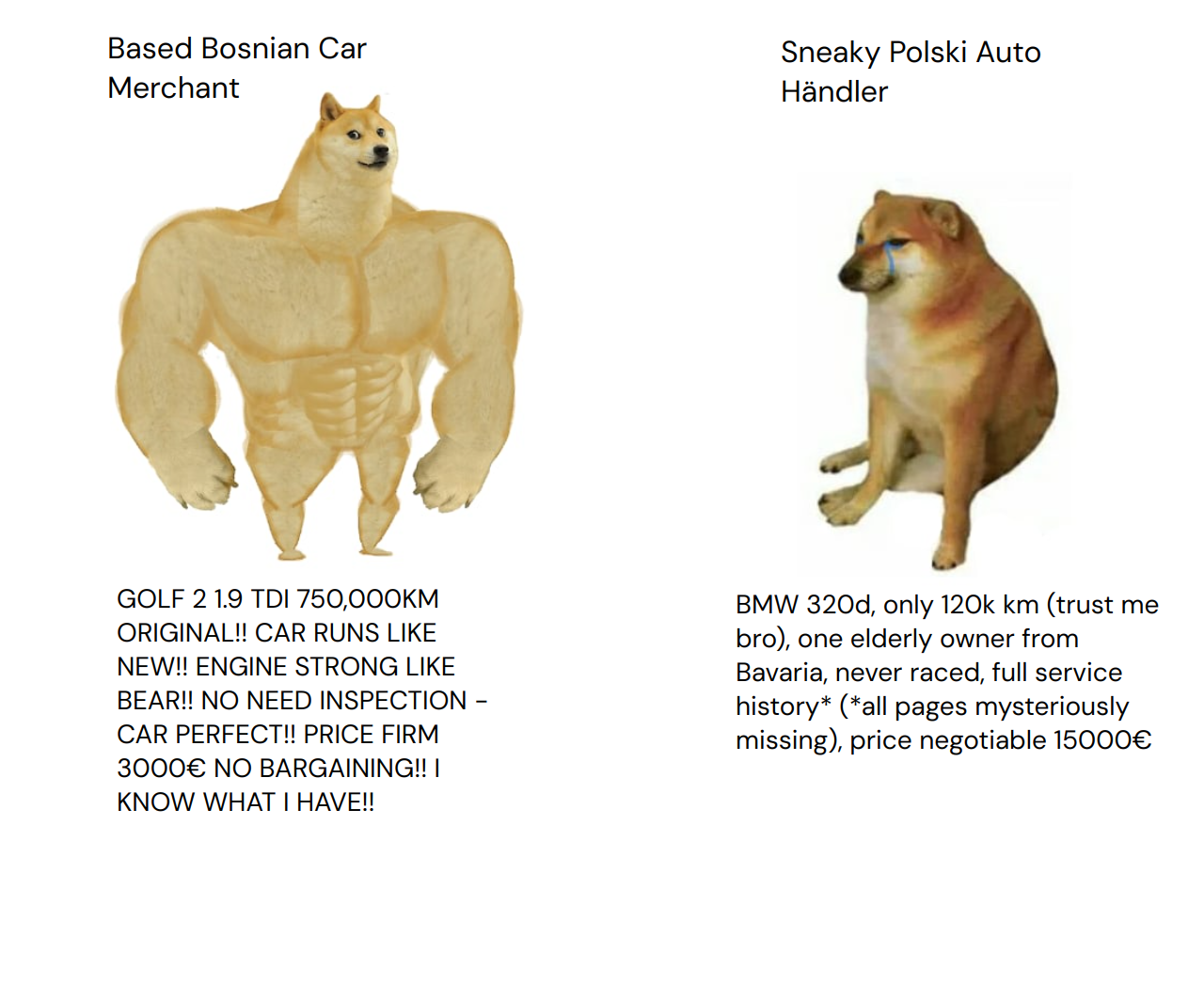 Lost Doge Meme Original
