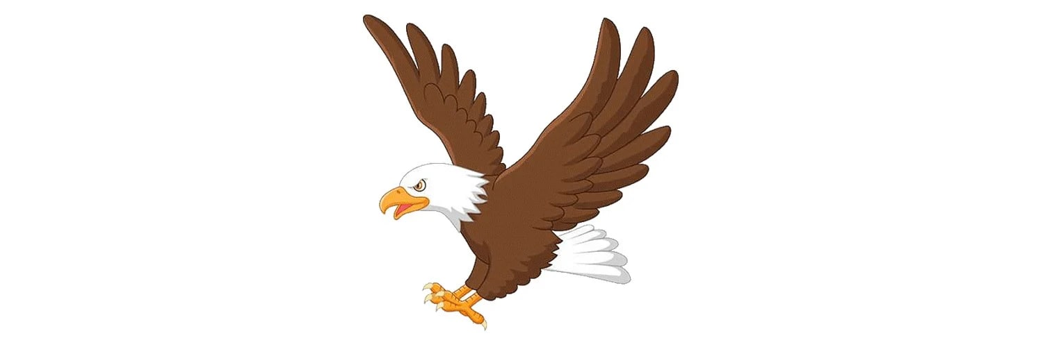 STP Care: Alex Rodgers