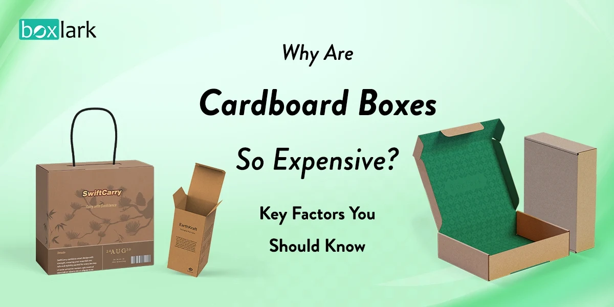 Why cardboard boxes so expensive? | Essential Insights