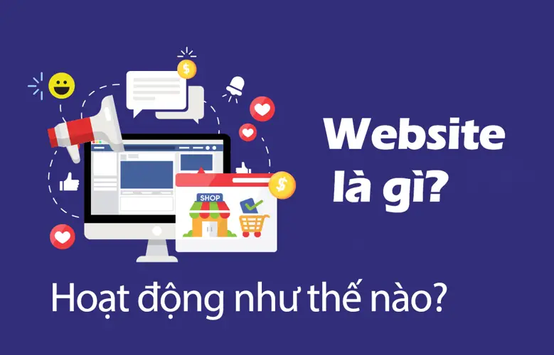 Trang web và website là gì? Các thành phần cơ bản của một website