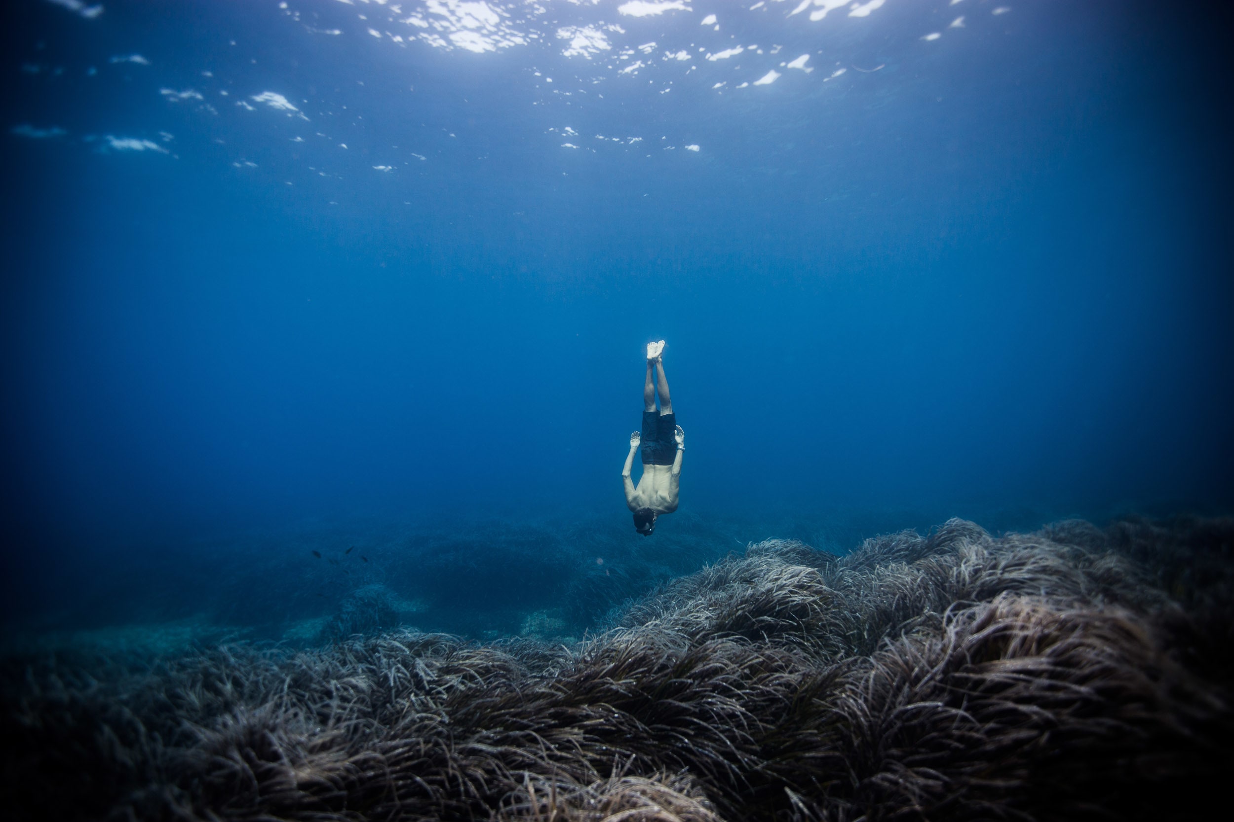 Nusa Penida Diving With Eco-Friendly Pure Dive Resort