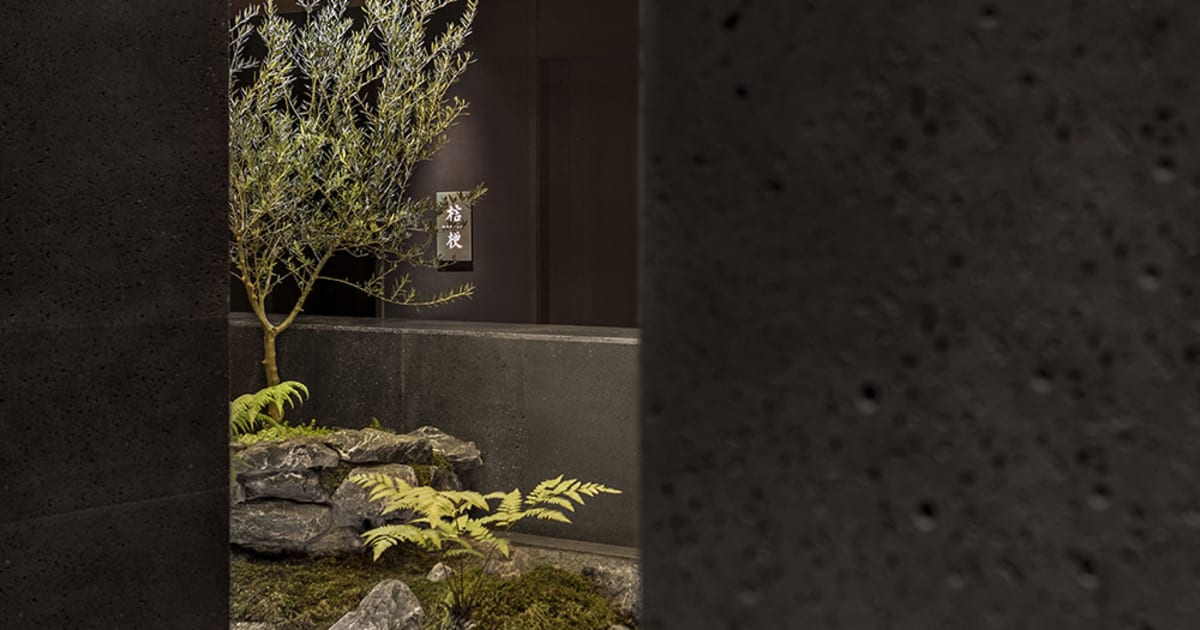Rock Garden Oasis with Concrete Walls | Feel Design
