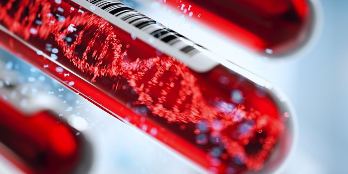 Ferritin Blood Test: Understanding the Role of Iron Stores in Wellness ...