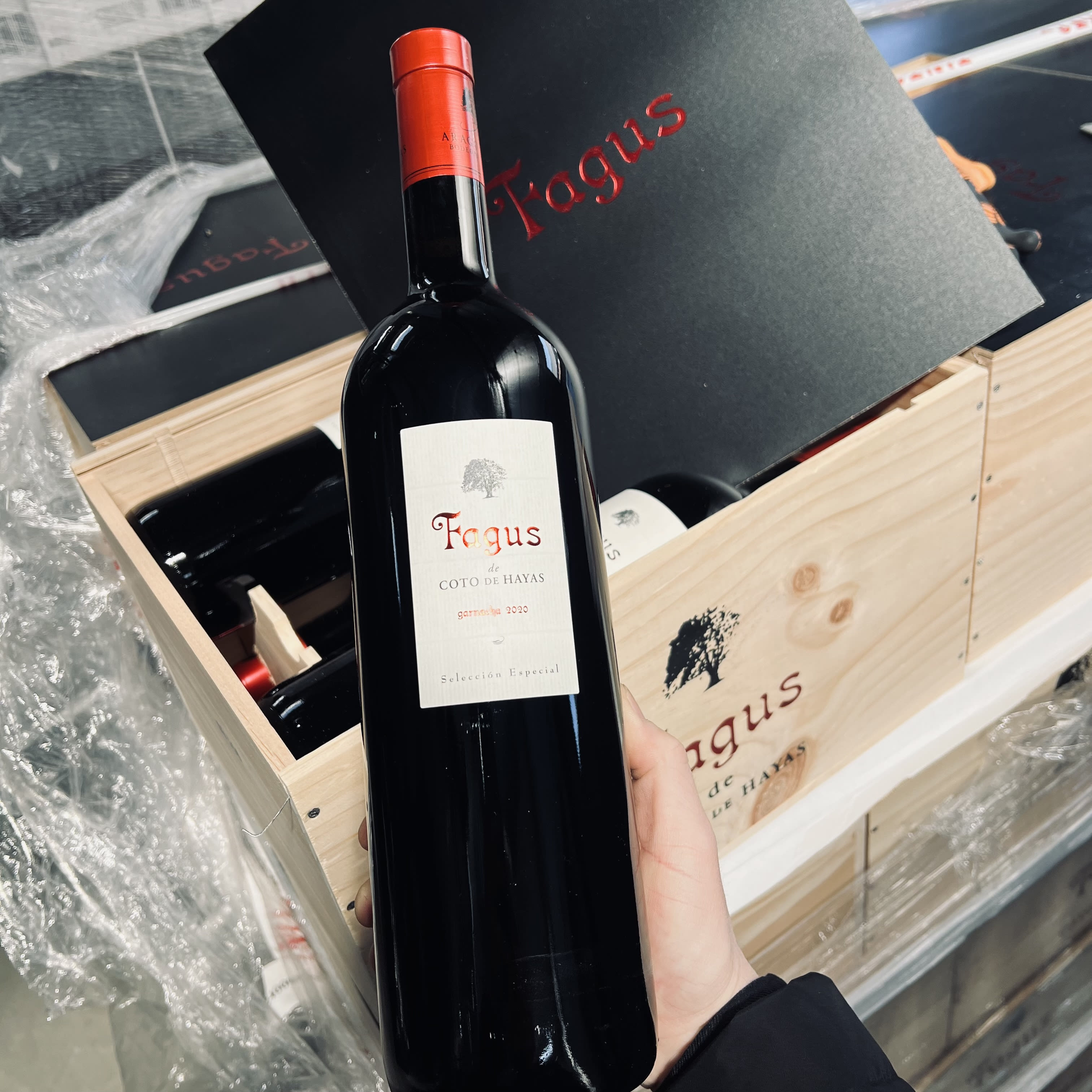Bodegas Aragonesas Fagus Garnacha 2020 Magnum 1,5 L