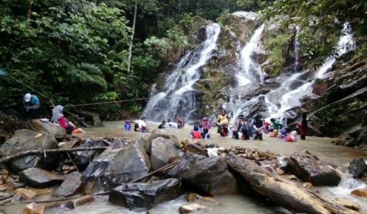 Hutan Lipur Gunung Pulai
