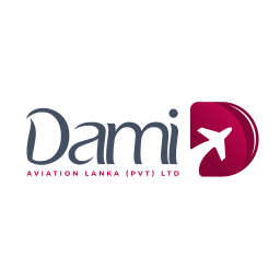 DAMI Aviation - Professional Aviation Training Institute