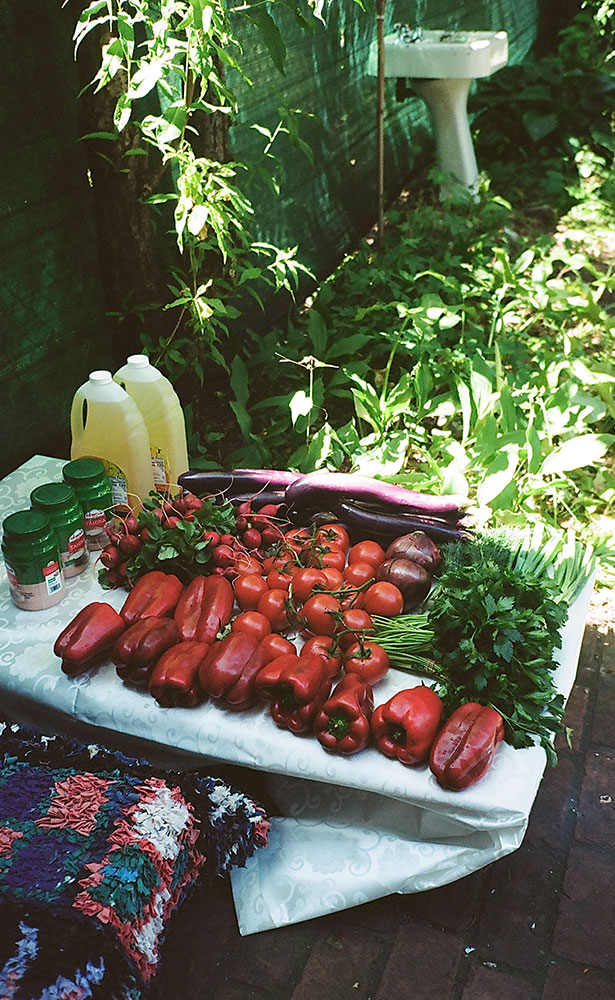 LEV | Site-specific Cooking