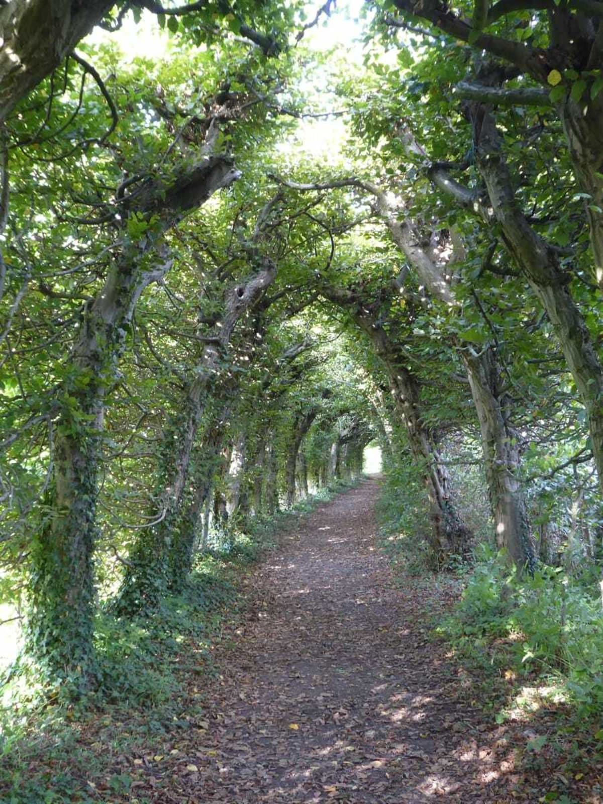 Wandelen in Braives, Luik: Fallais-kasteel en historische locaties