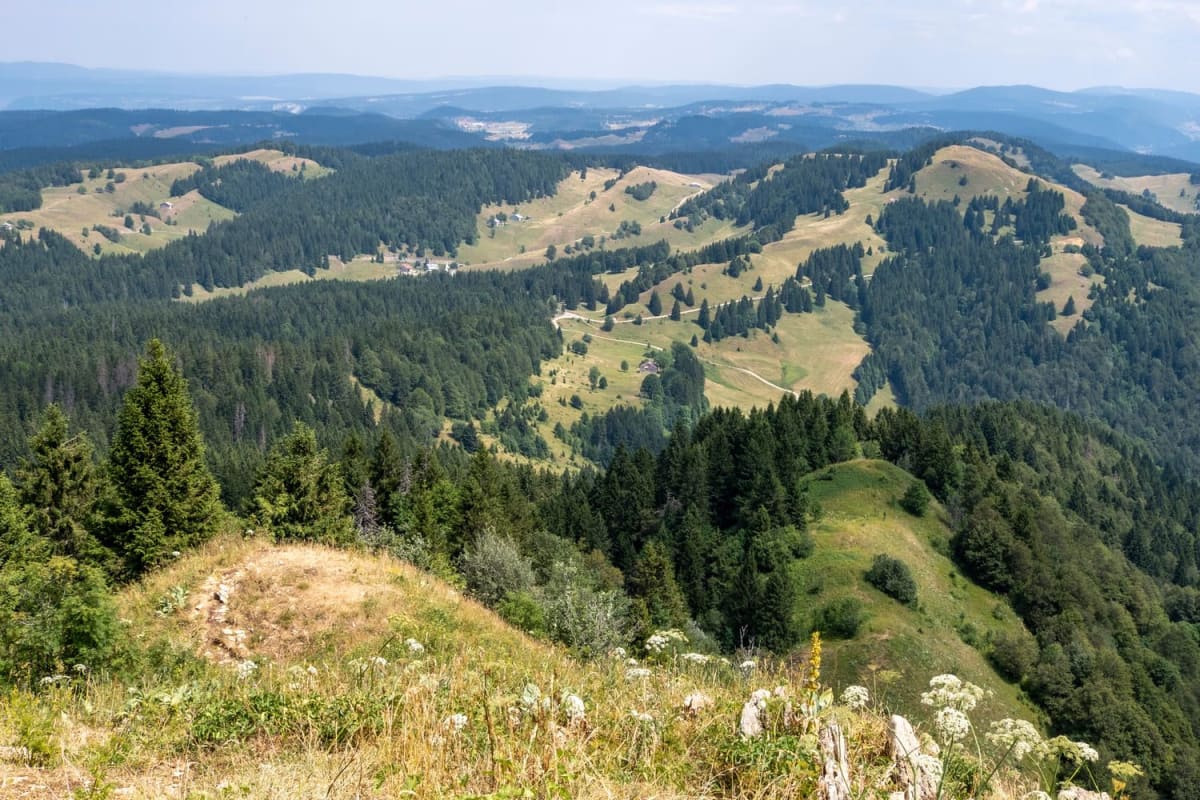 Randonnée au crêt de Chalam : top 4 des itinéraires