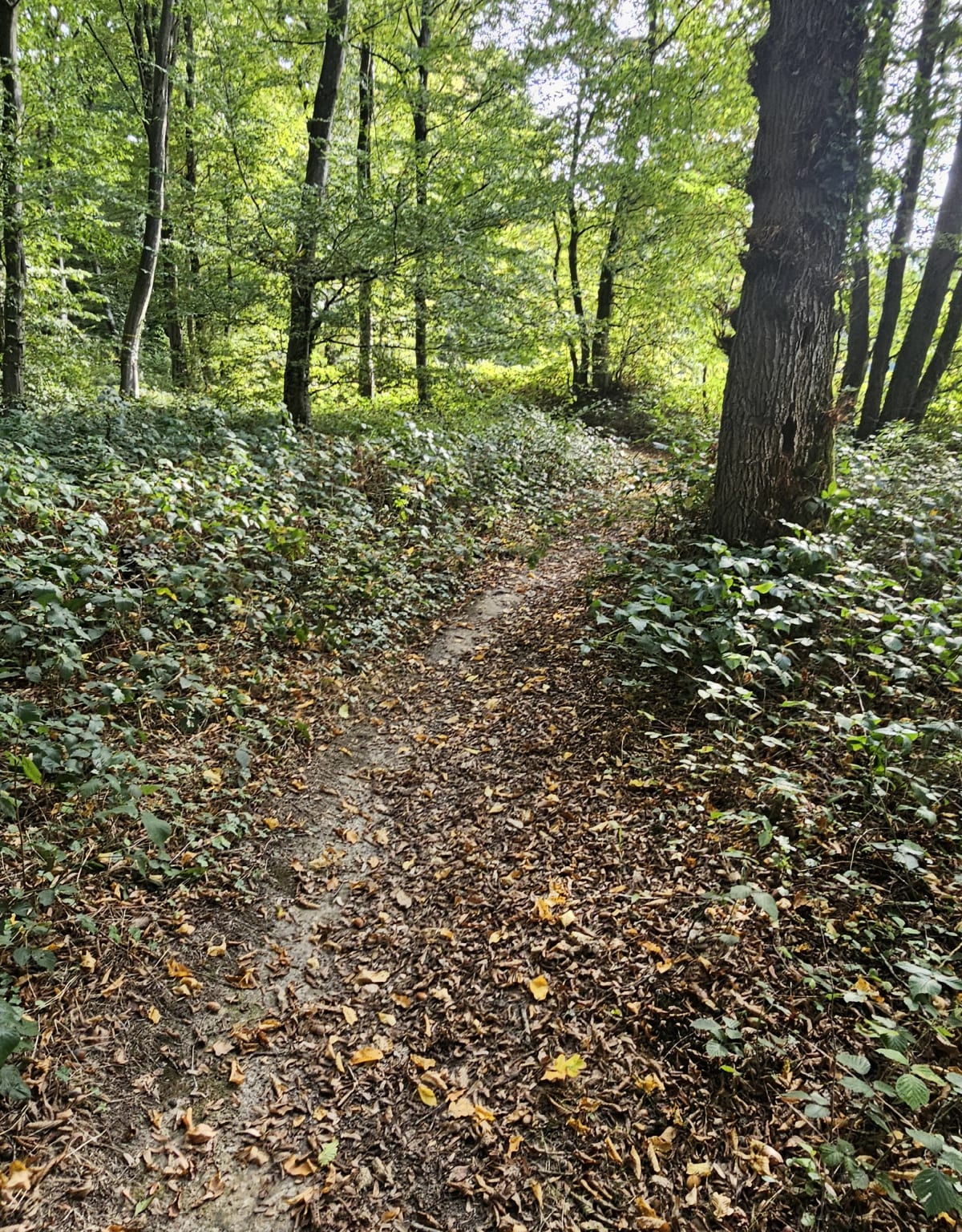 25 kilomètres avec le boss à Fesmy-le-Sart