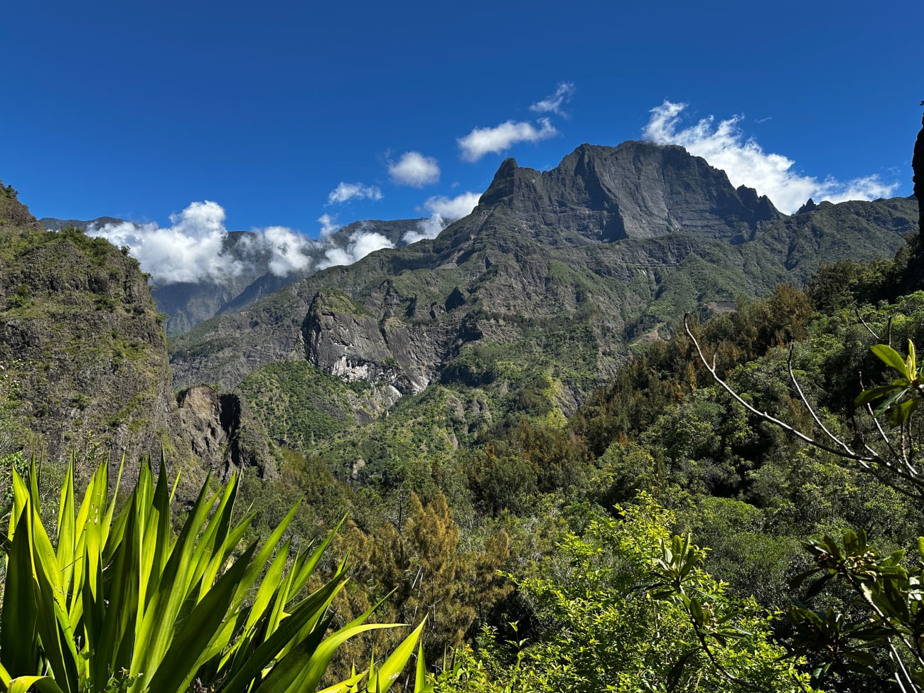 Cascade du Bras Rouge : rando dans le cirque de Cilaos