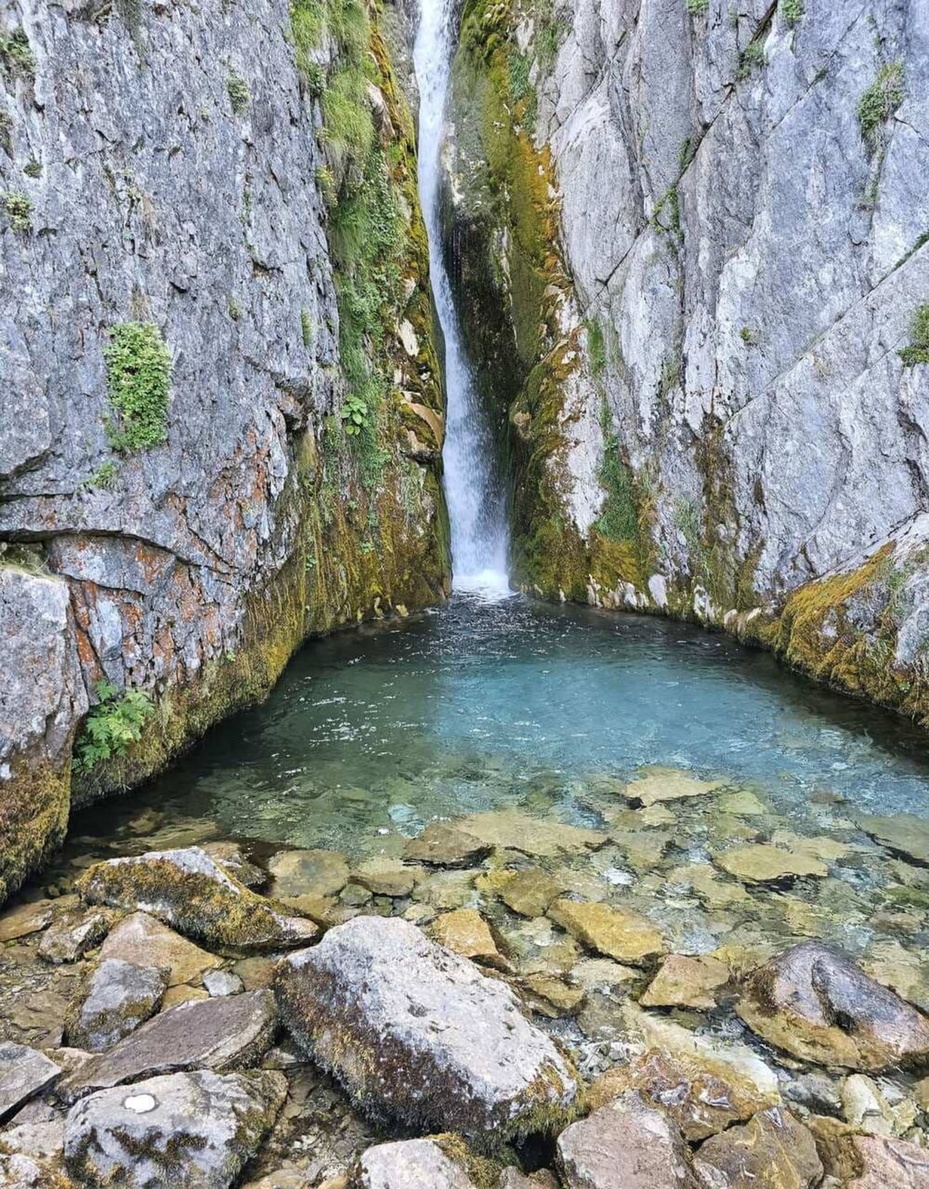Plateau de Sanchèse : les plus belles randonnées