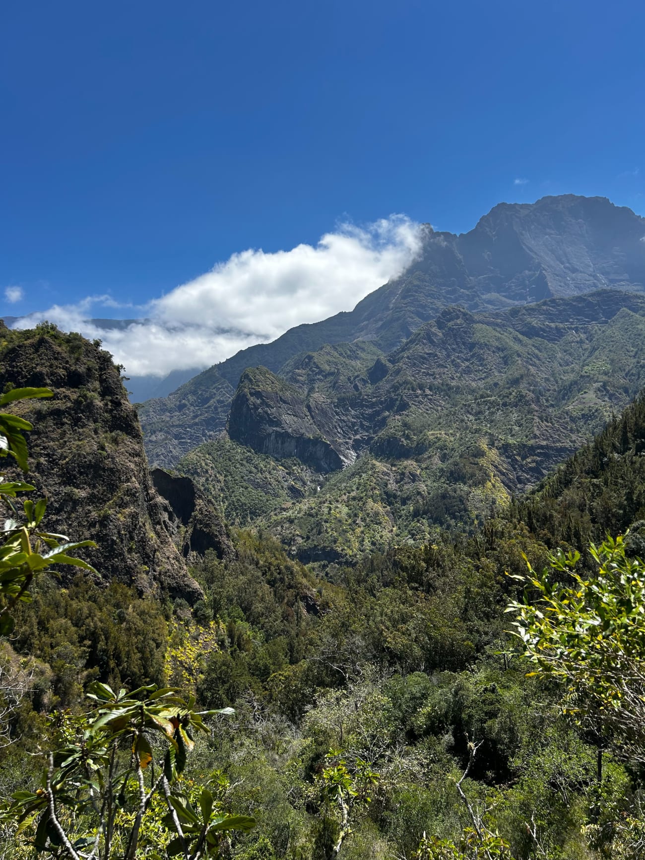 Cascade du Bras Rouge : rando dans le cirque de Cilaos