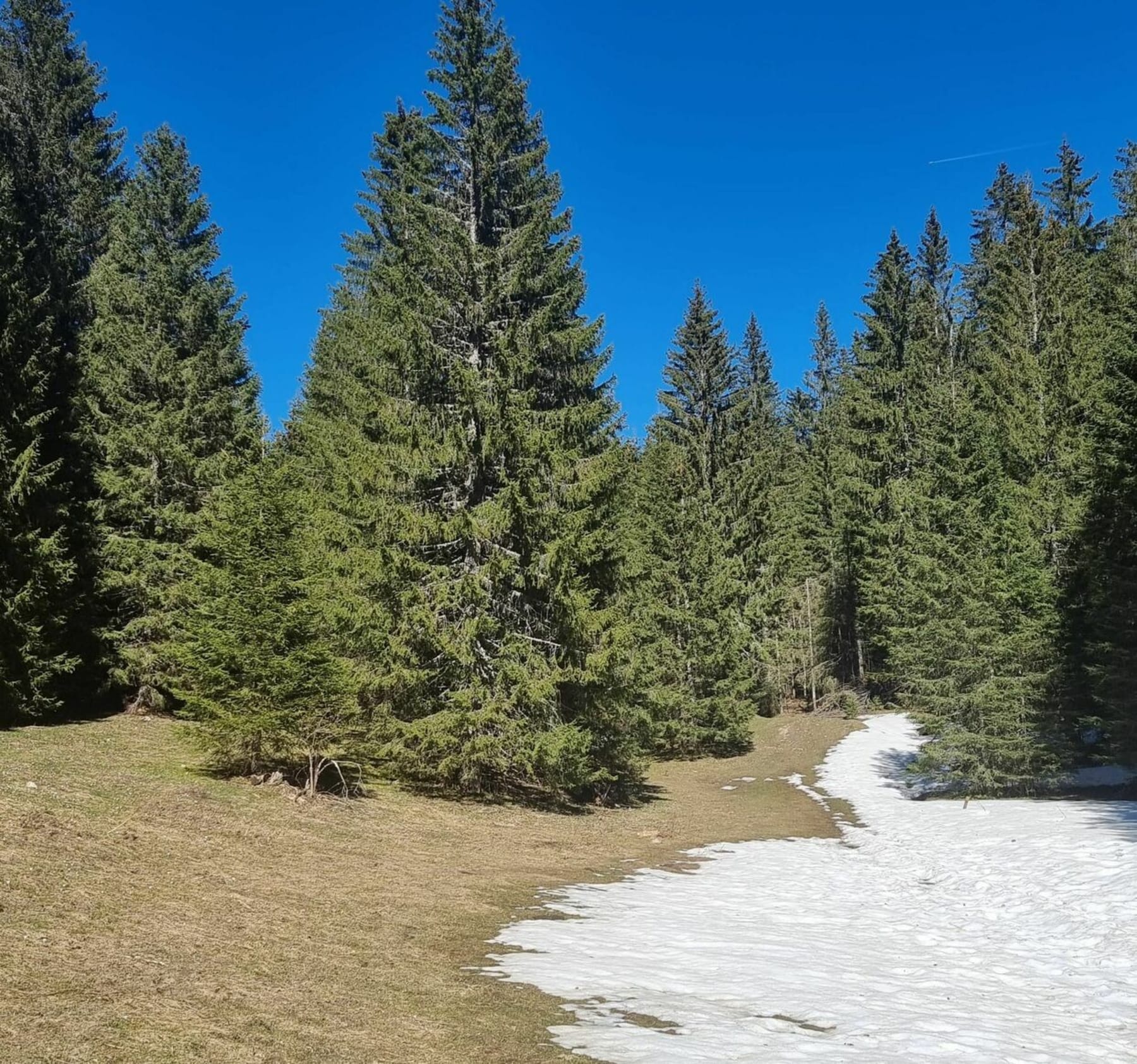 Les Rousses - Lac des Rousses - Fort du Risoux | Decathlon Outdoor