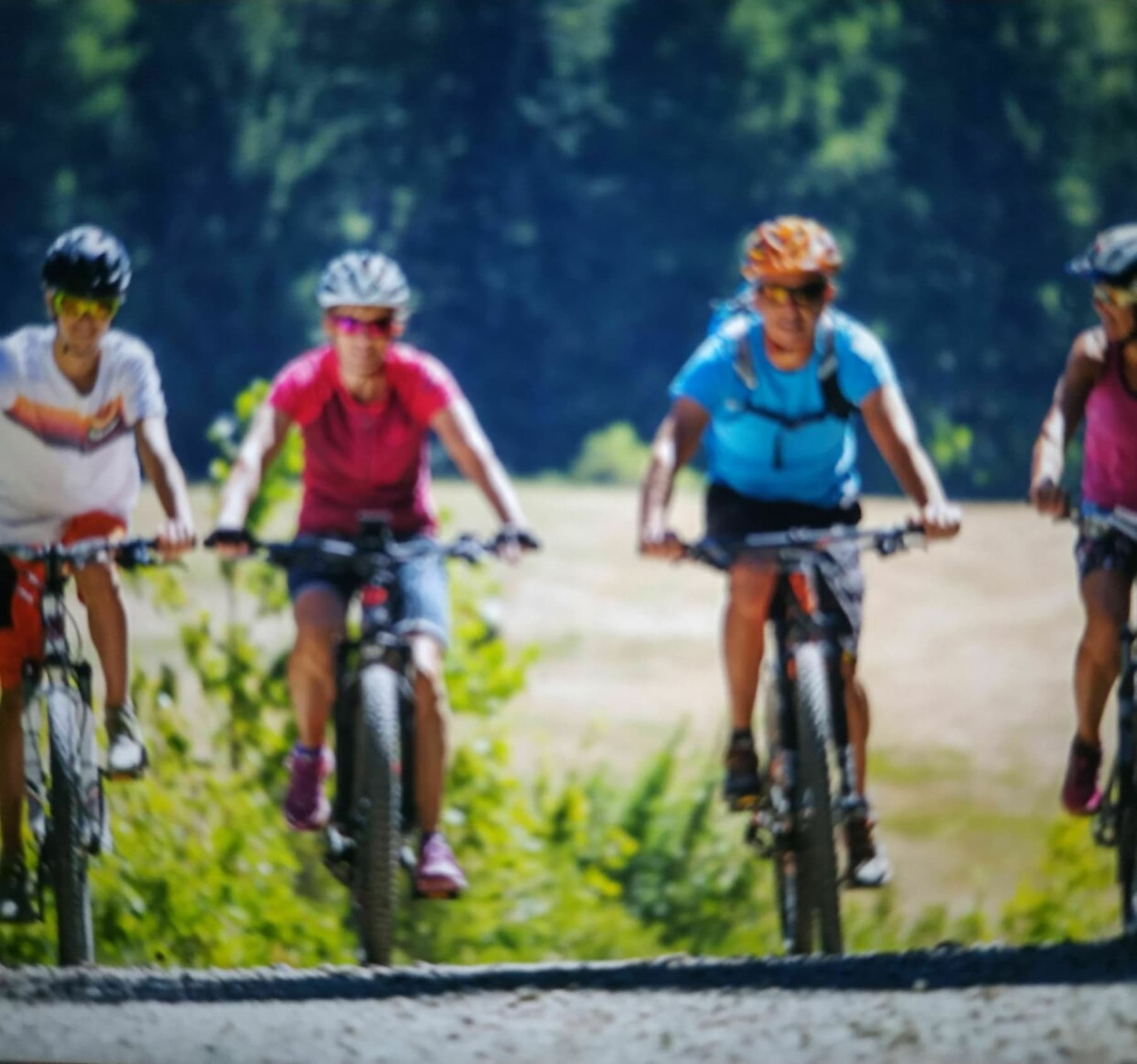 Petit parcours entraînement VTT | Decathlon Outdoor