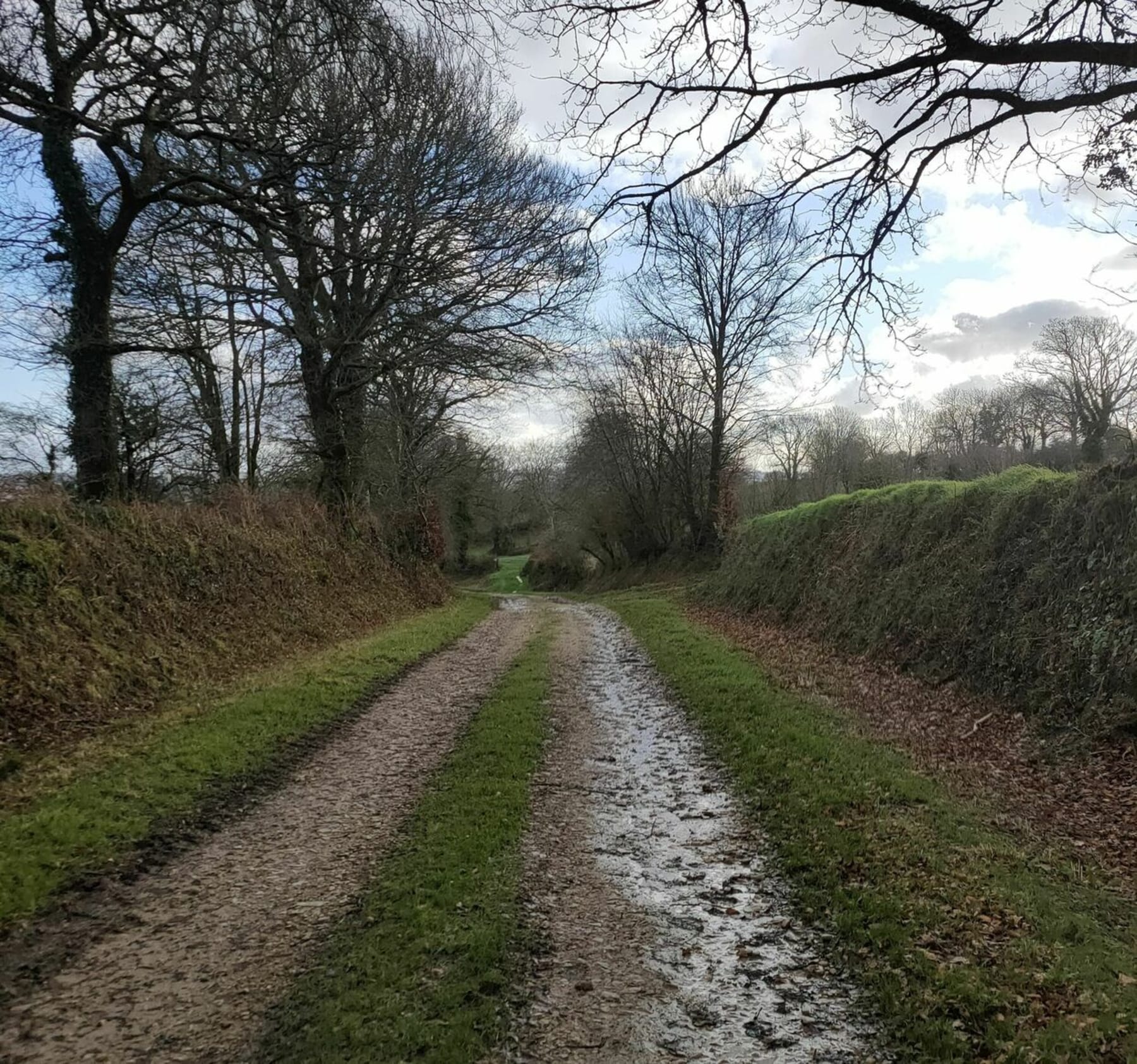 Les chemins de Grosville | Decathlon Outdoor