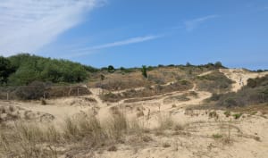 Westhoek à La Panne