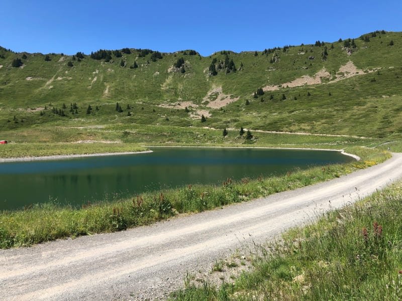 Randonnées autour de moi : les plus beaux circuits