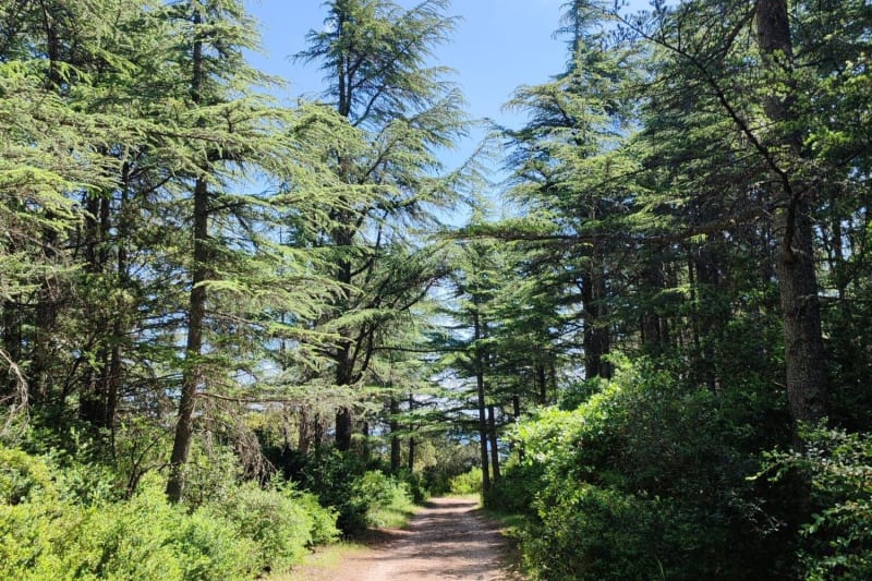 Grottes de Calès depuis le village de Lamanon