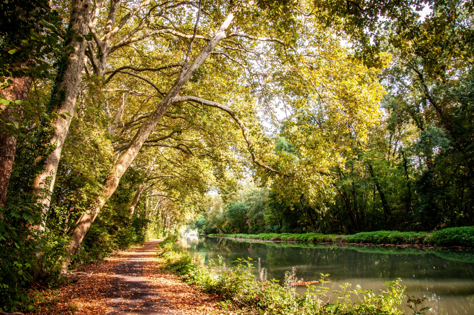 Top 20 Randonnées dans le Cher : nos plus beaux itinéraires