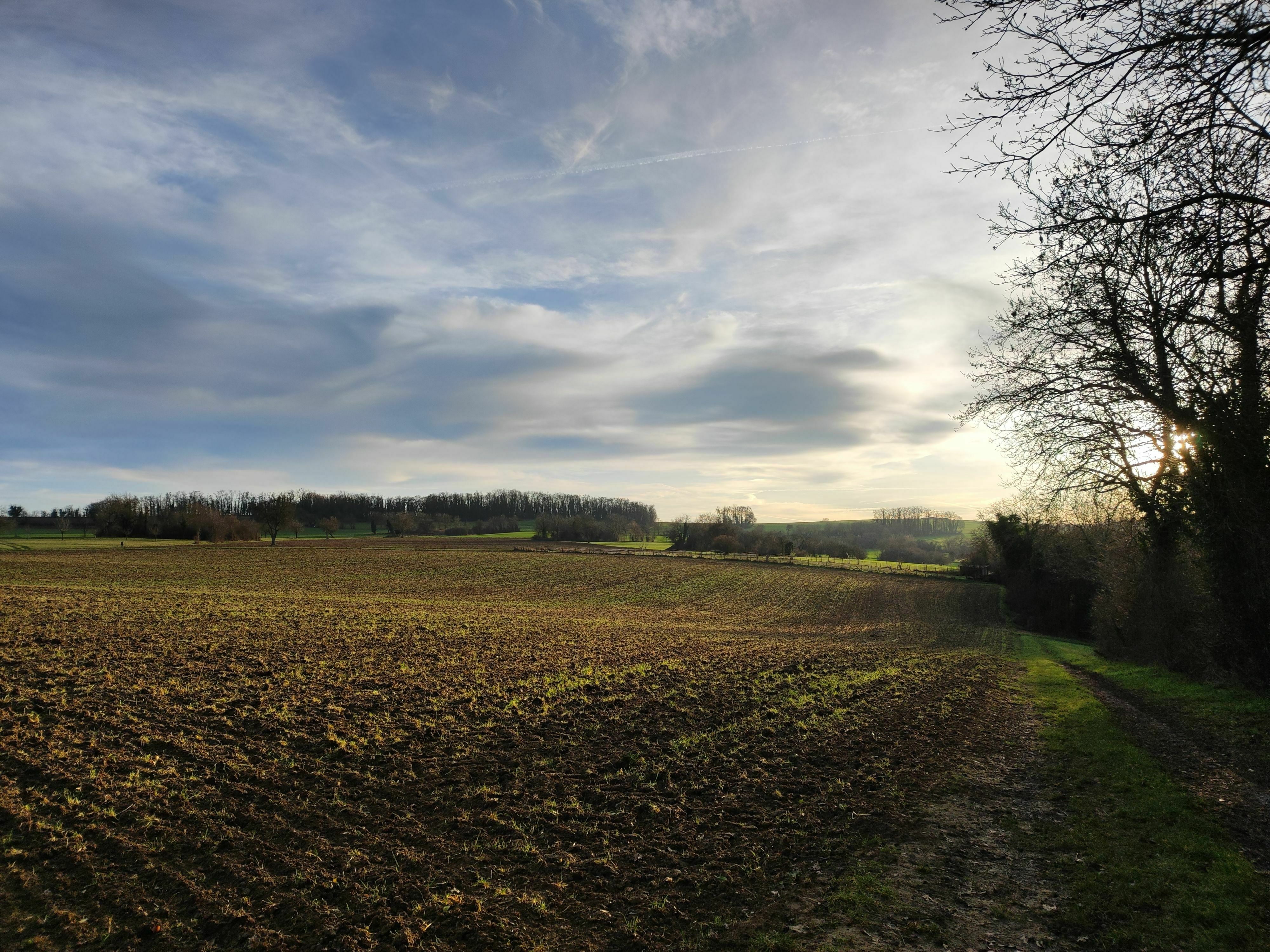 Balade dans la campagne de Rixheim | Decathlon Outdoor