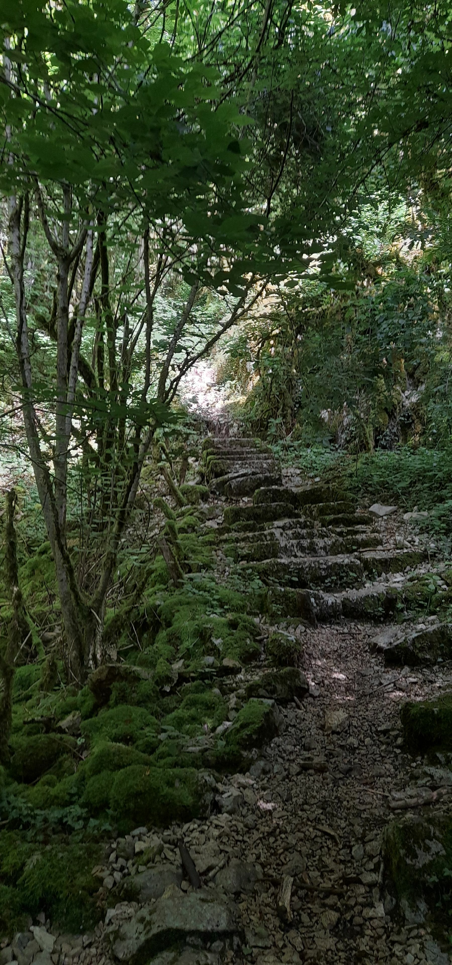 2 fois 100 marches entre Fixin et Brochon | Decathlon Outdoor