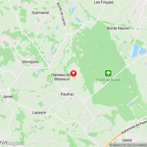 Randonnée en chaîne dans la forêt de Buzet