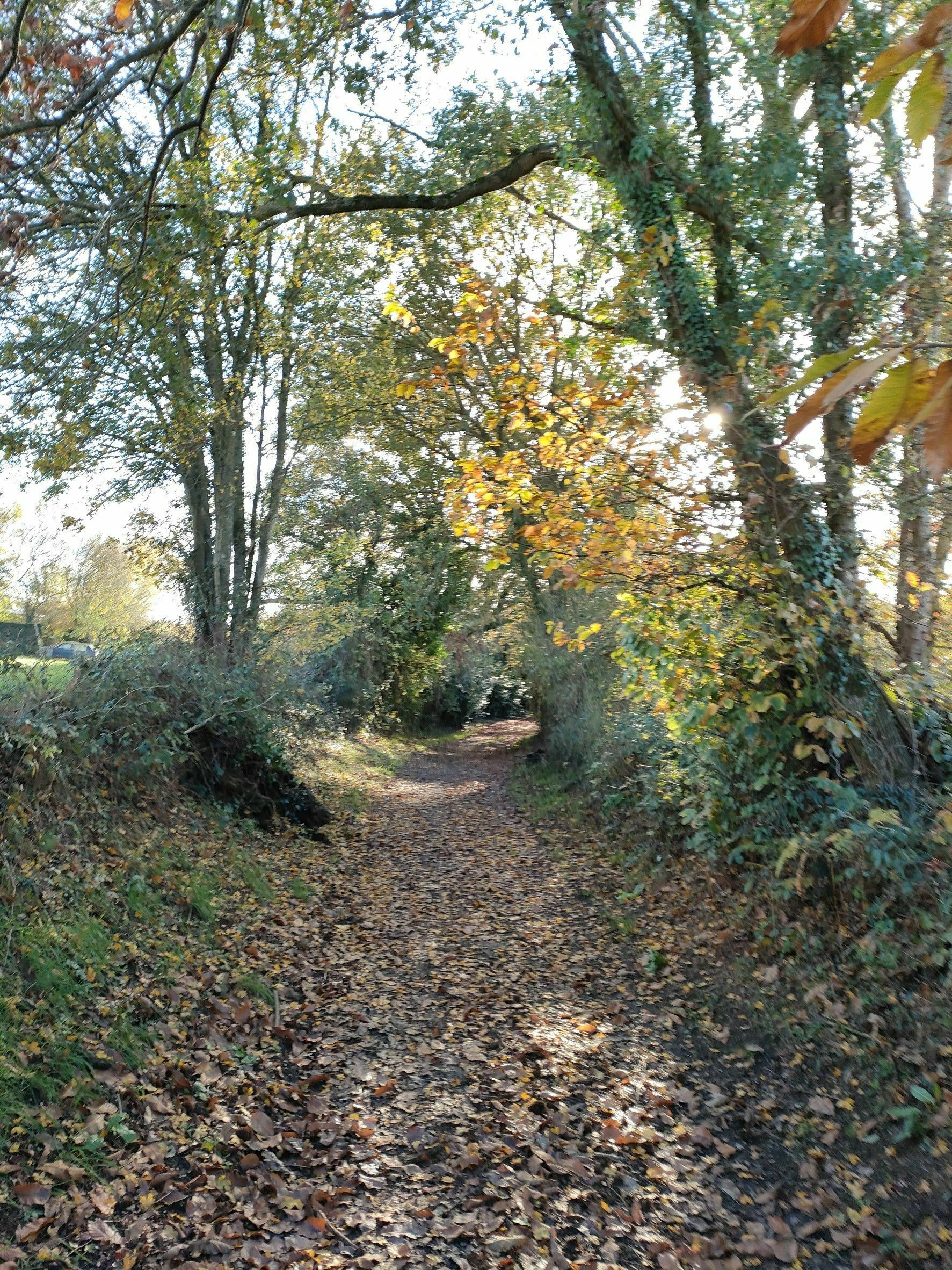 Super balade dans les chemins creux de Feneu