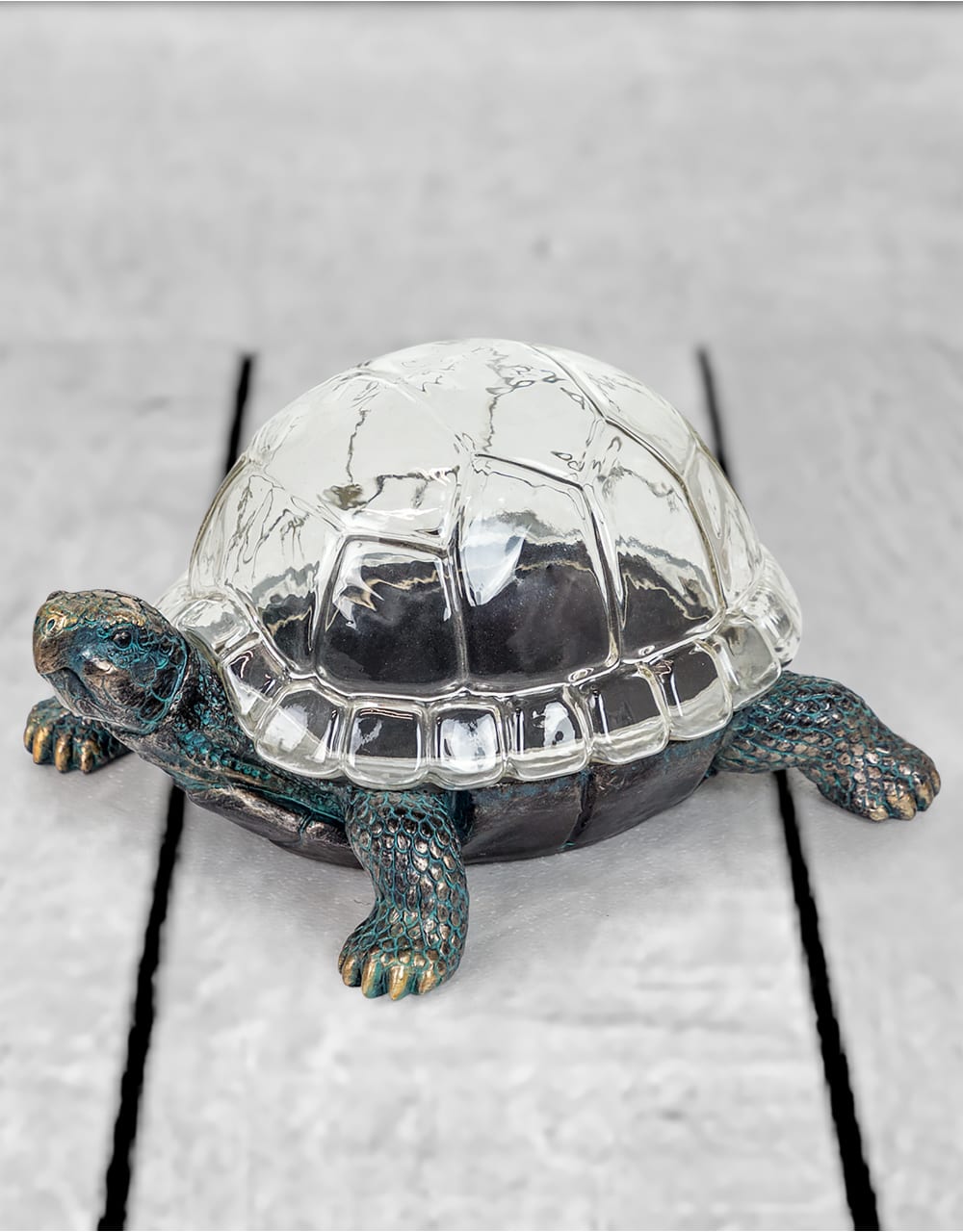 Antiqued Bronze Effect Tortoise with Glass Shell Display Box
