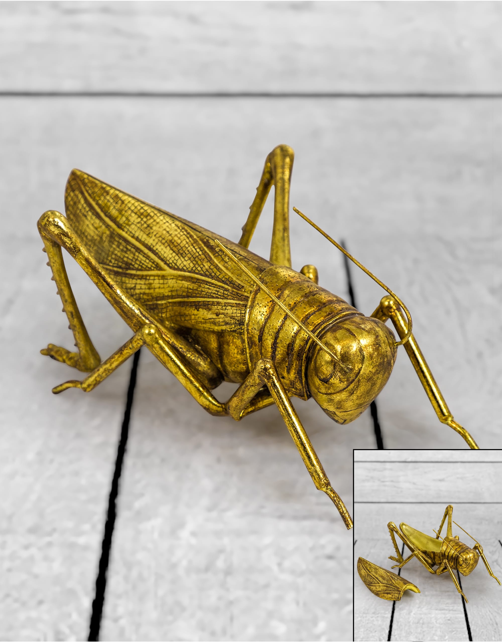 Gold Extra Large Grasshopper Storage Box
