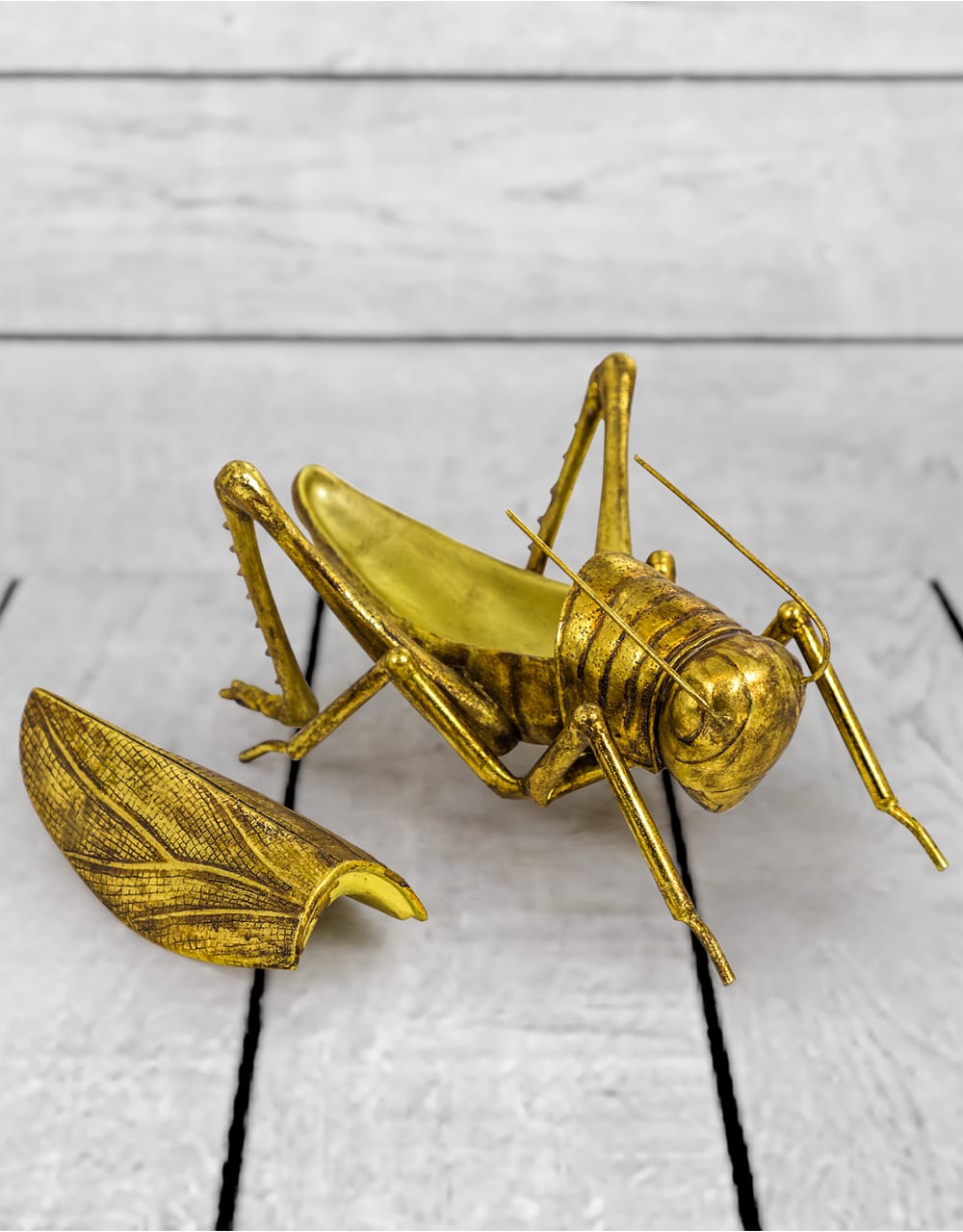 Gold Extra Large Grasshopper Storage Box
