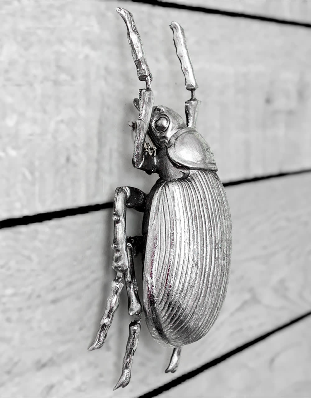 Large Silver Beetle Wall Decor (to be bought in qtys of 2)