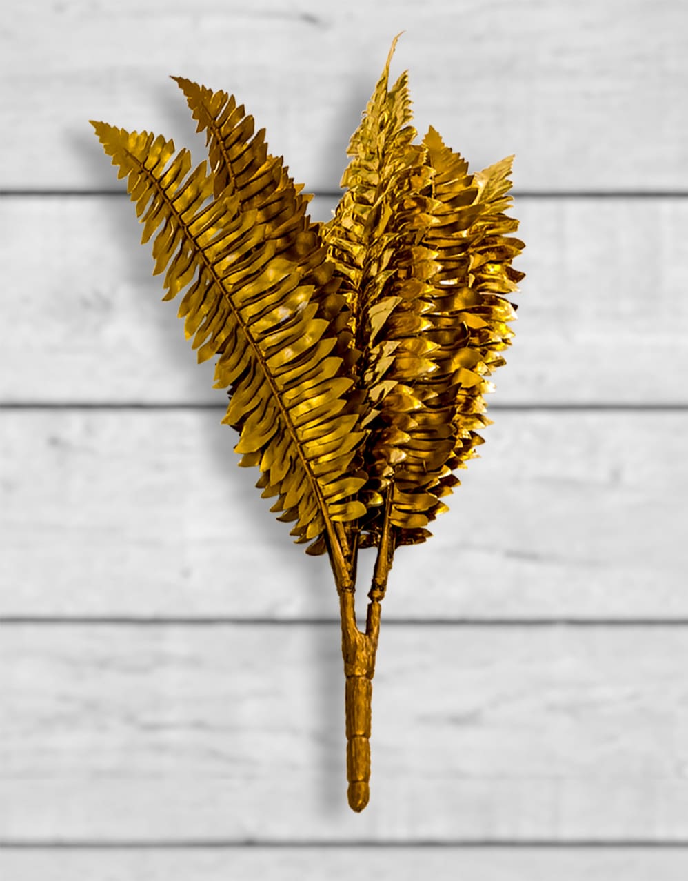 Metallic Gold Boston Fern (to be bought in qtys of 6)