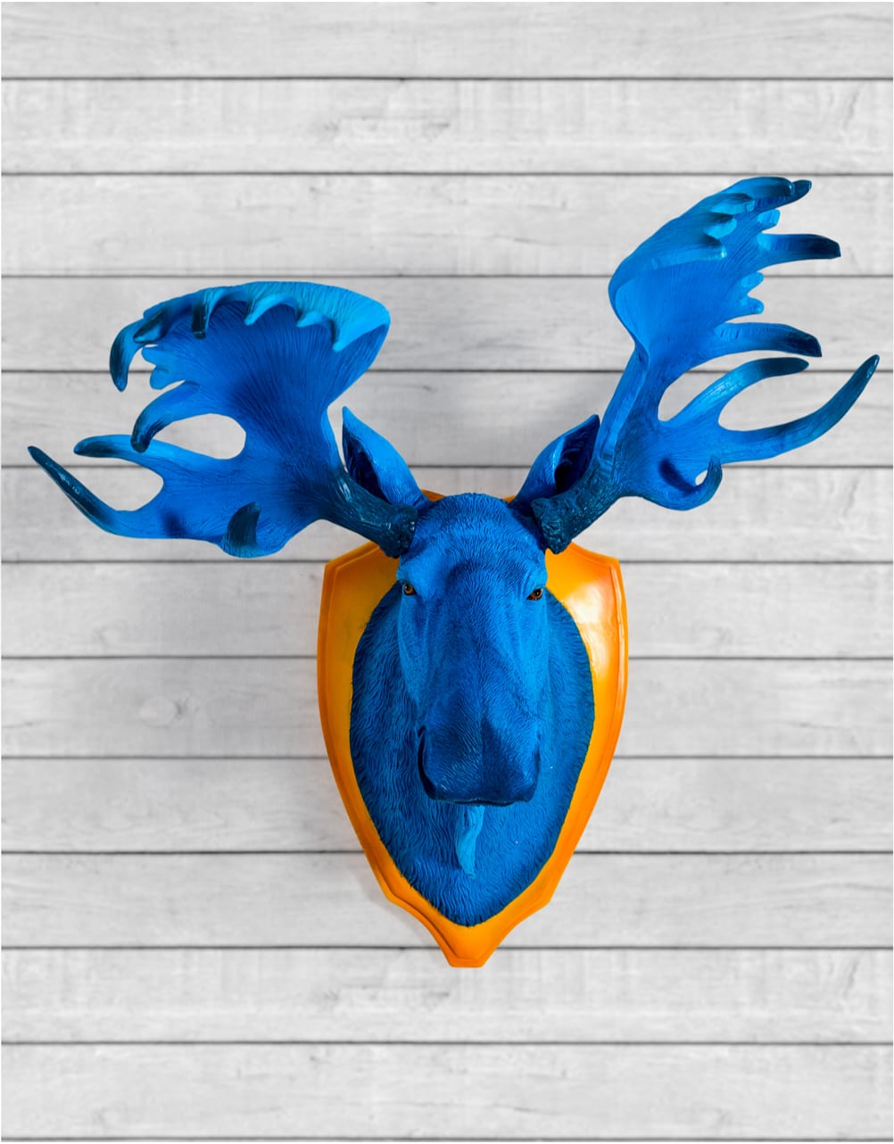Electric Blue Moose Wall Head