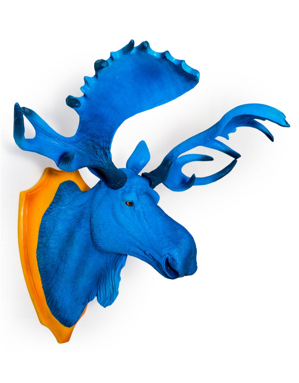 Electric Blue Moose Wall Head