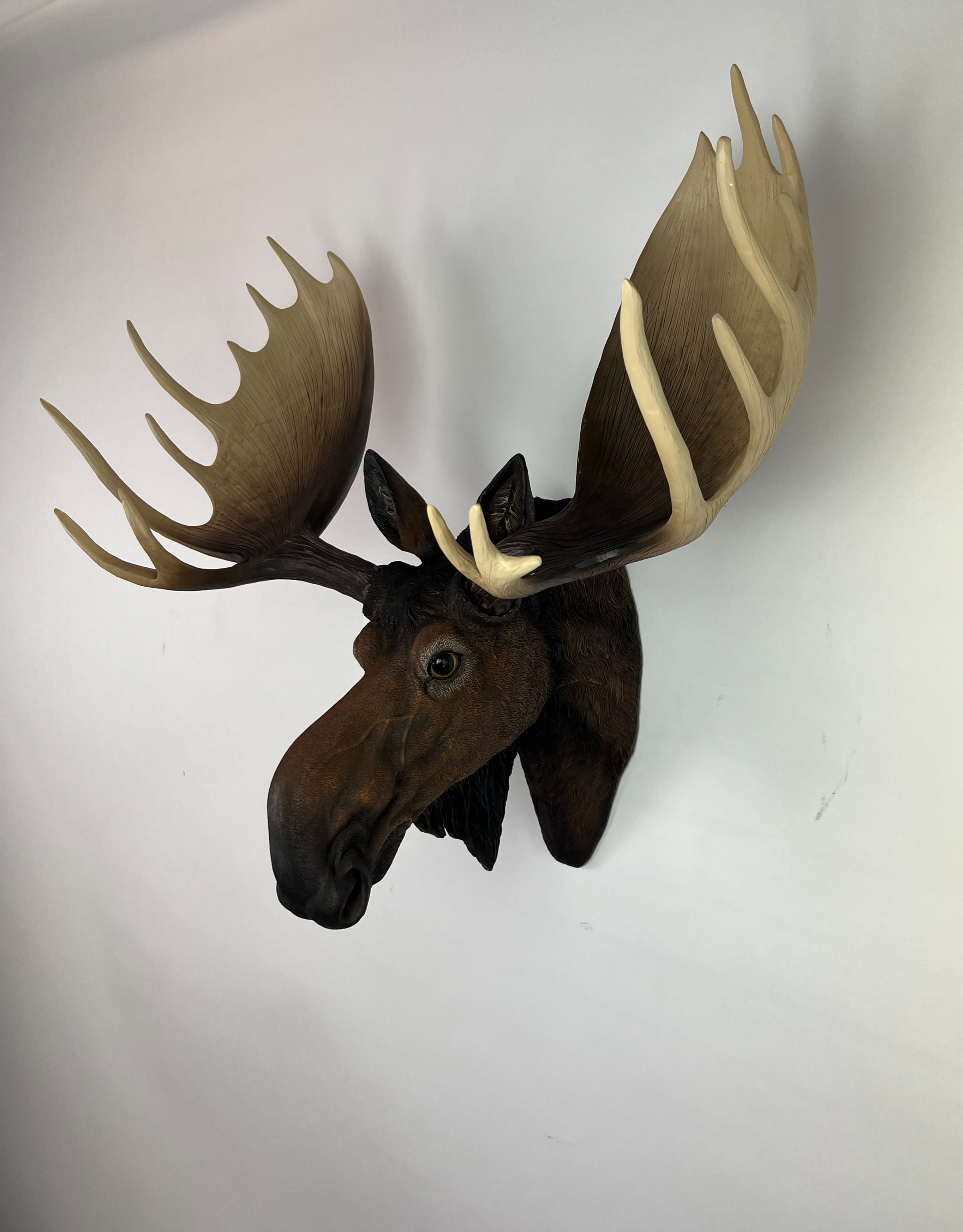 Large Moose Wall Head