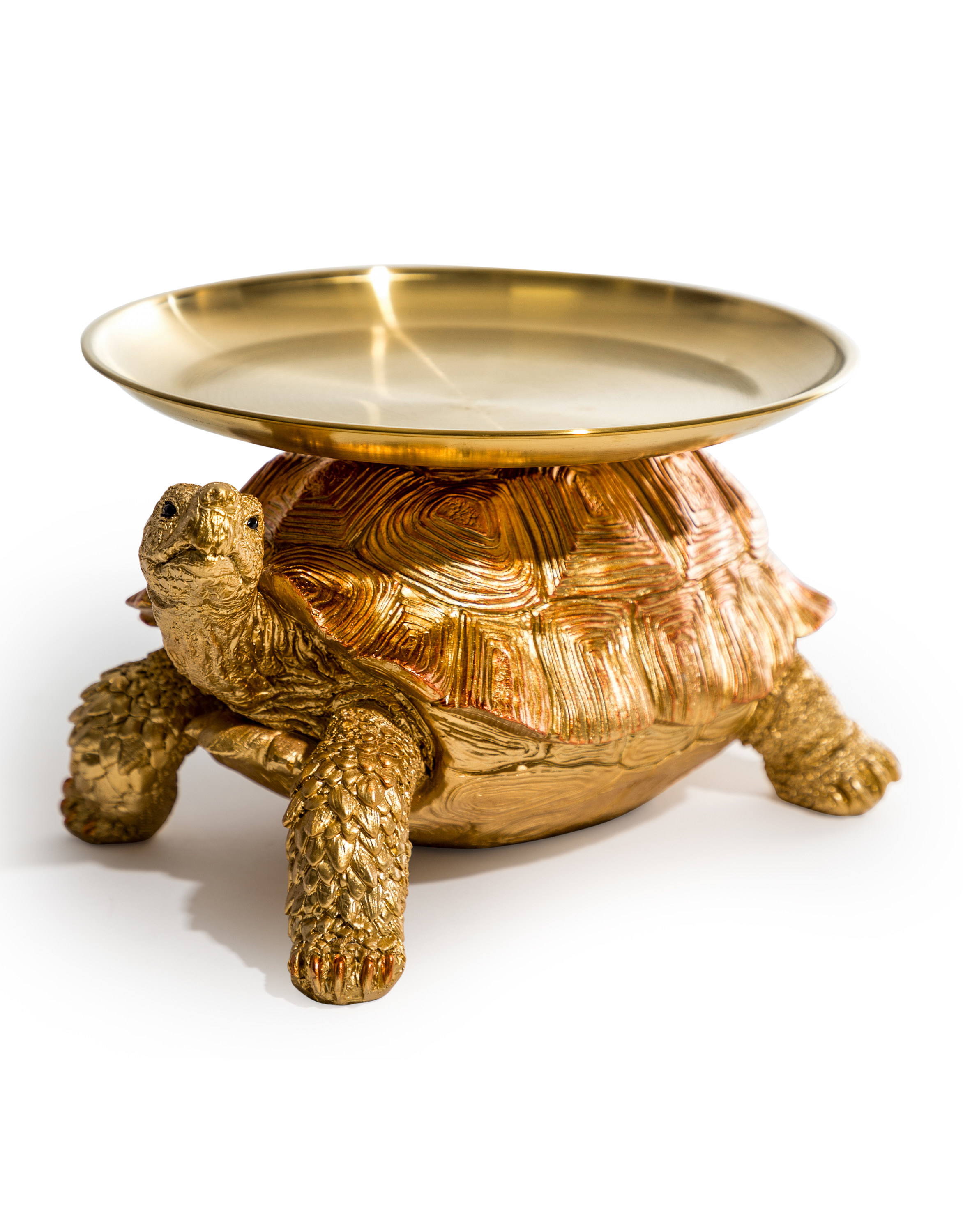 Gold & Bronze Tortoise w/ Gold Tray