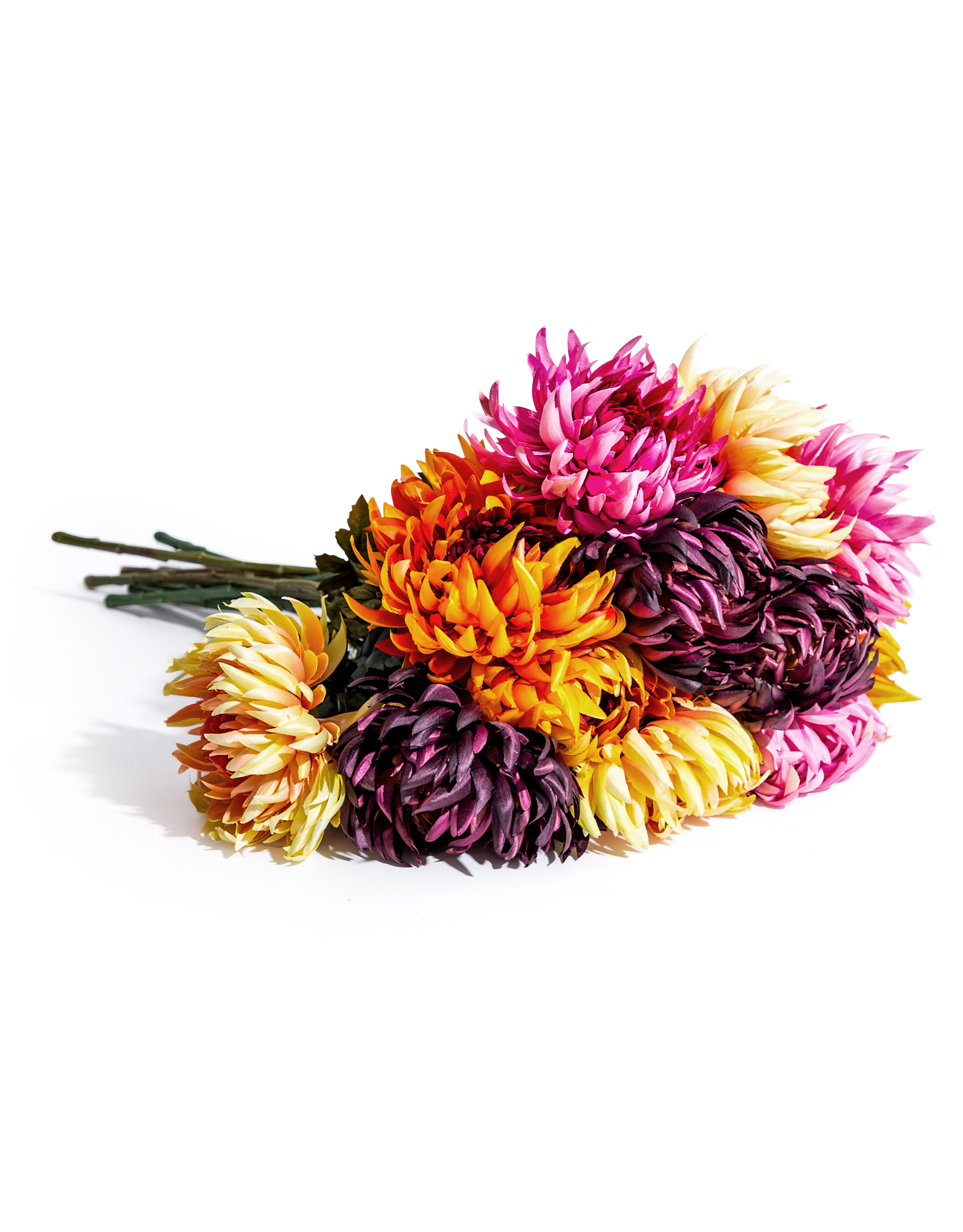 Assorted Mixed Colour Daisy Ball Stems (to be bought in bunches of 12)