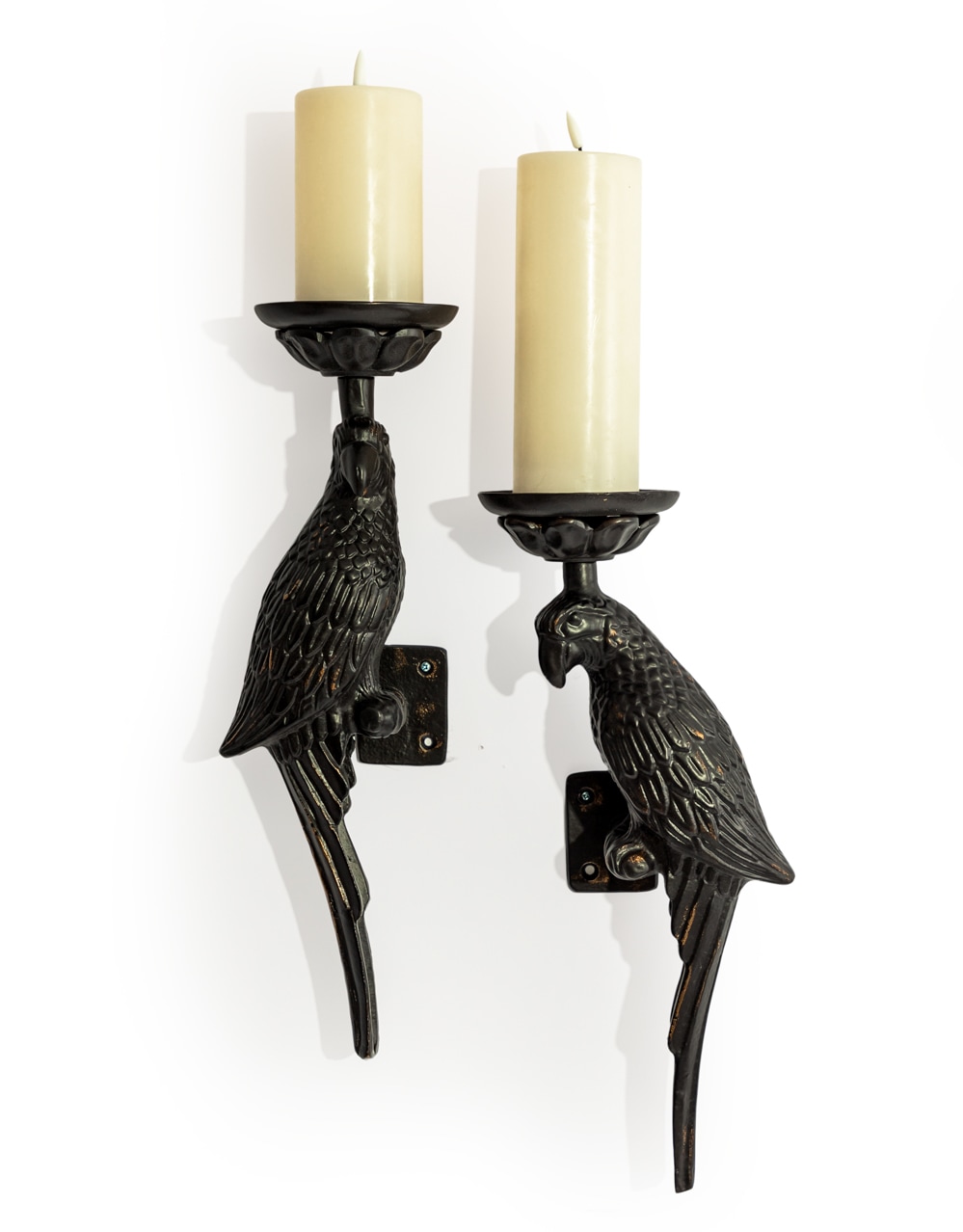 Pair of Large Distressed Black Metal Parrot Wall Sconces