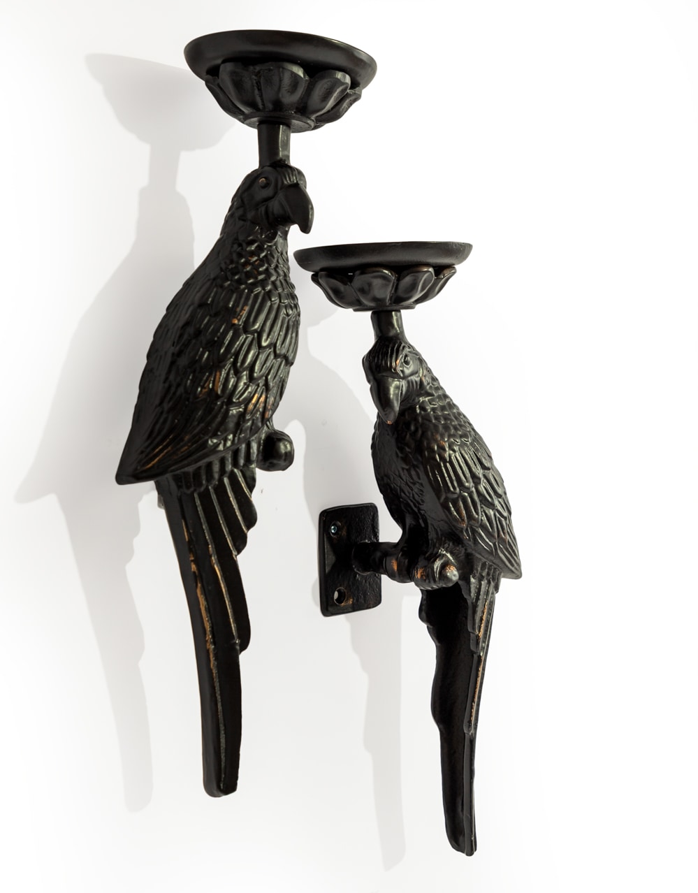 Pair of Large Distressed Black Metal Parrot Wall Sconces