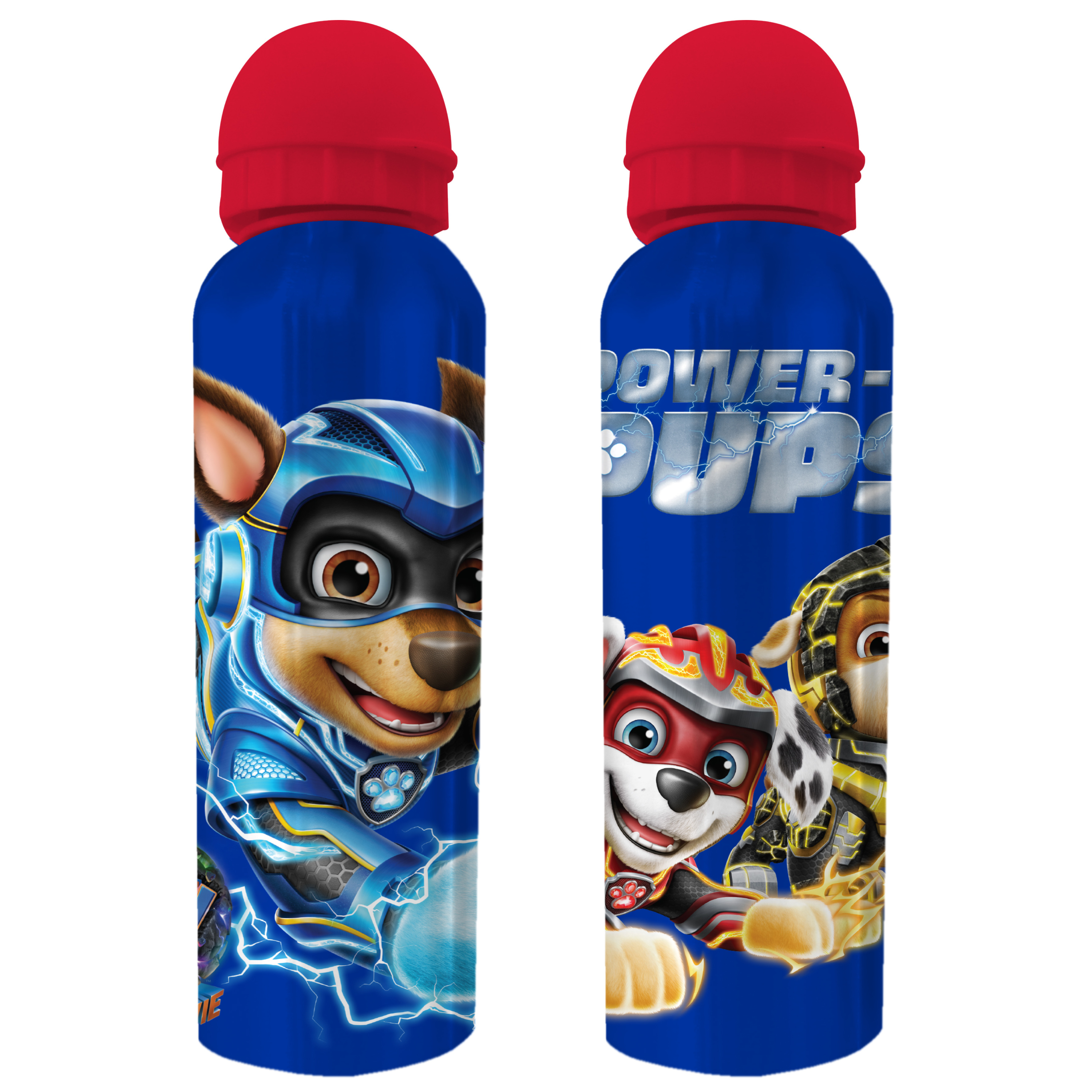 Paw Patrol Aluminium Bottle