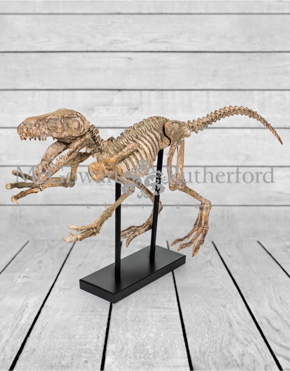 Extra Large Dinosaur Skeleton on Stand