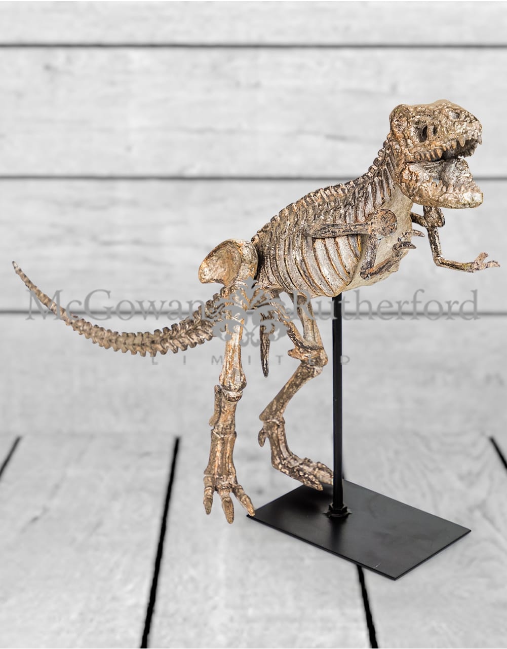 Large Dinosaur Skeleton on Stand