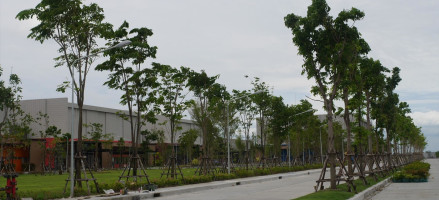 The Studio Park Thailand - Event Banana