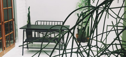 BO TREE - Event Banana