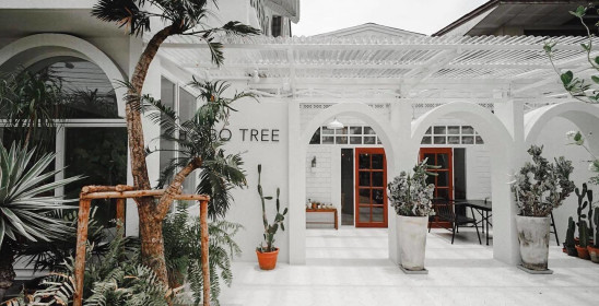 BO TREE - Event Banana